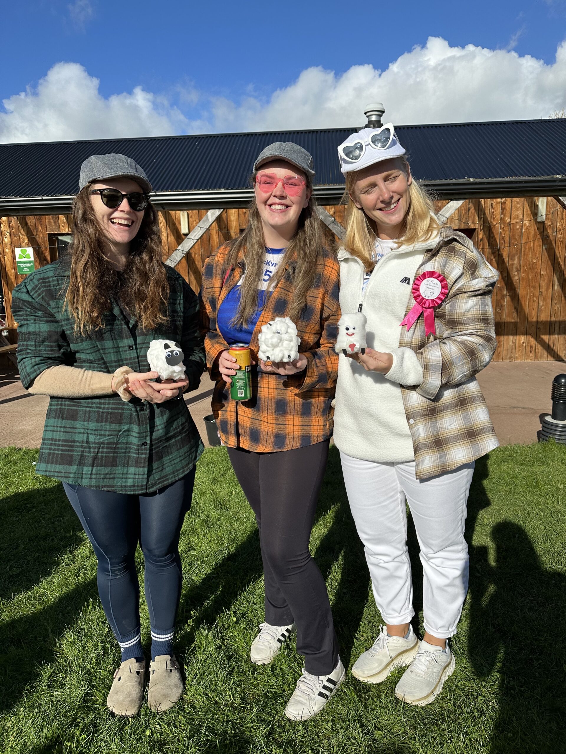 Limerick • TheHen.ie